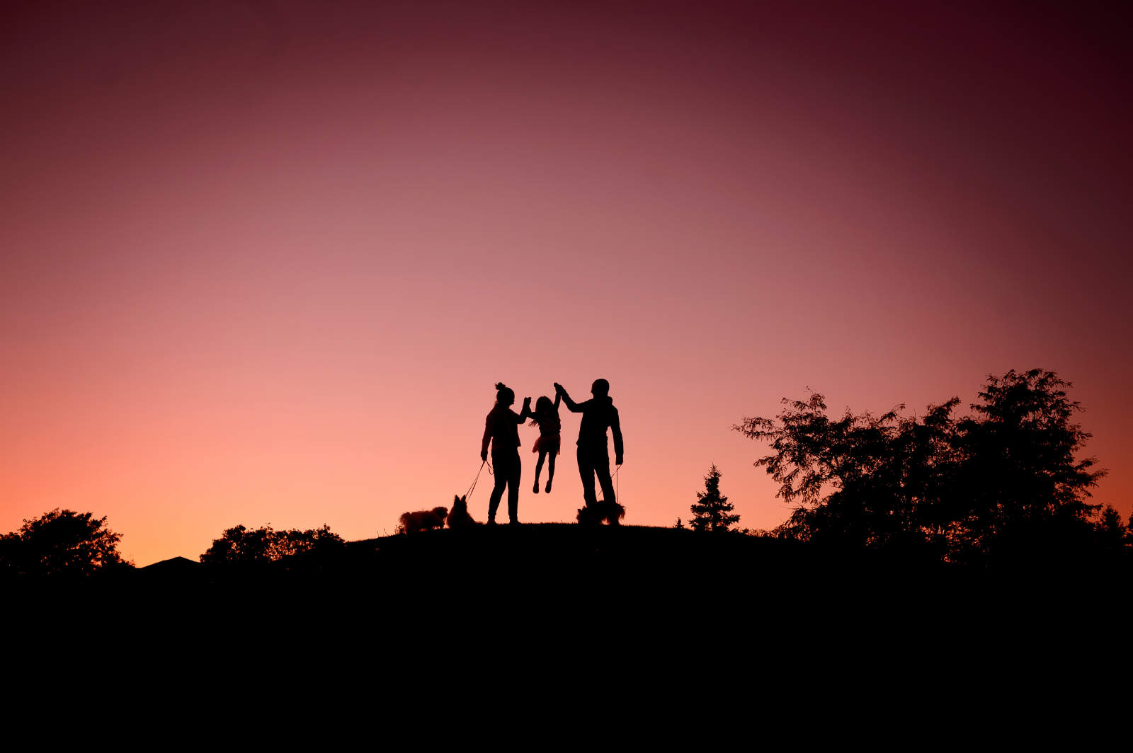 Sunset silhouette mini sessions · elizabeth&jane photography