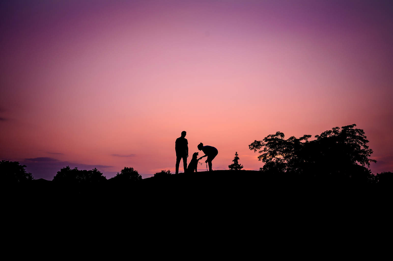 Sunset silhouette mini sessions · elizabeth&jane photography